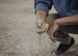 Services – Emerald Environmental