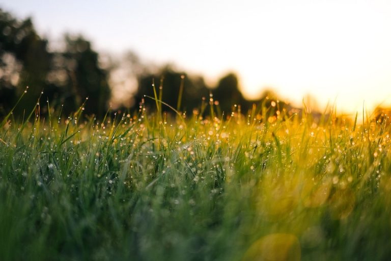 Services – Emerald Environmental